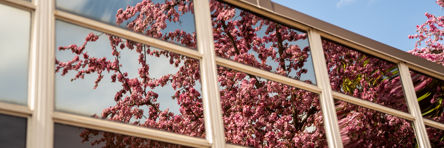 What is Hazing? - Prevent Hazing